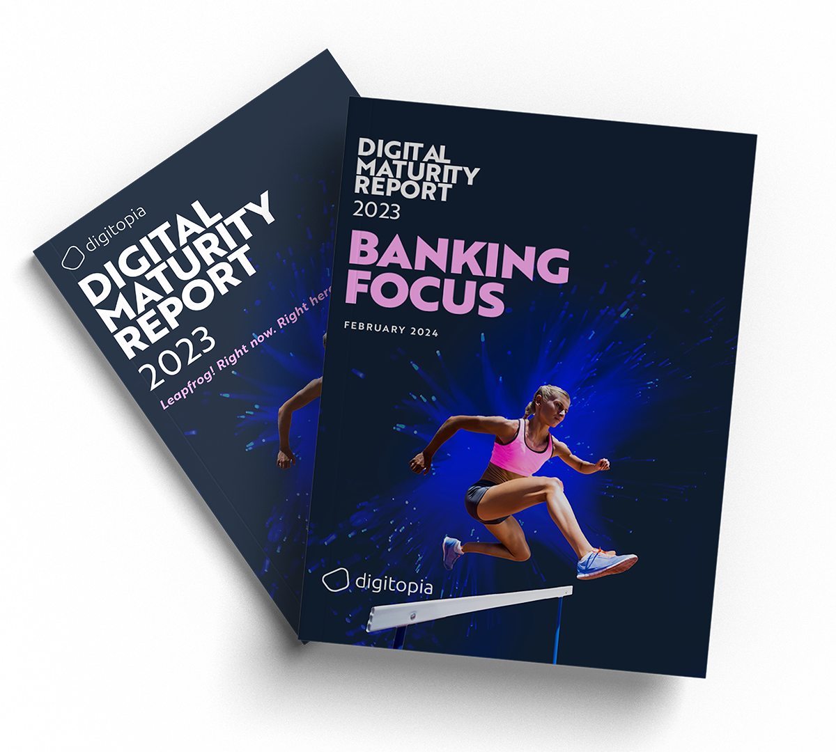 Digital Maturity Report 2023 Industry Focus - Banking - Digitopia