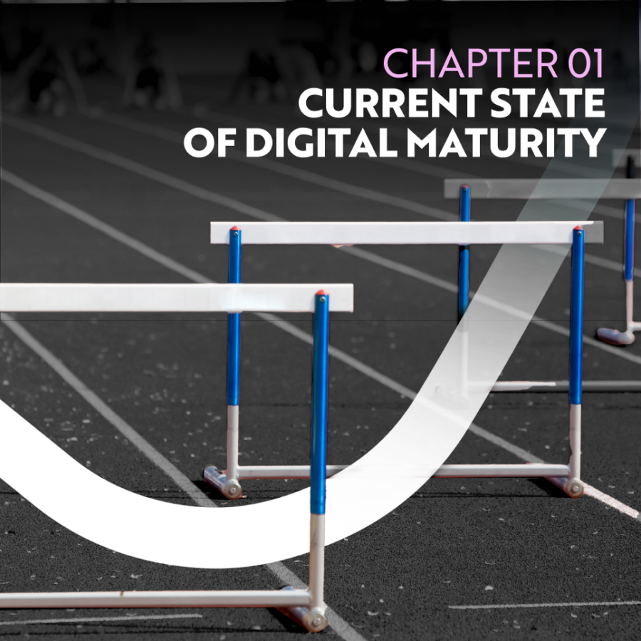 Digital Maturity Report 2023