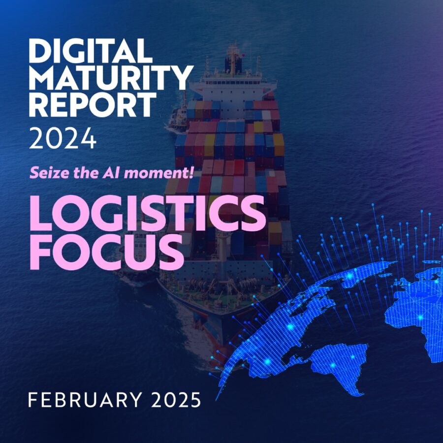 Digital Maturity 2024 Report - Digitopia