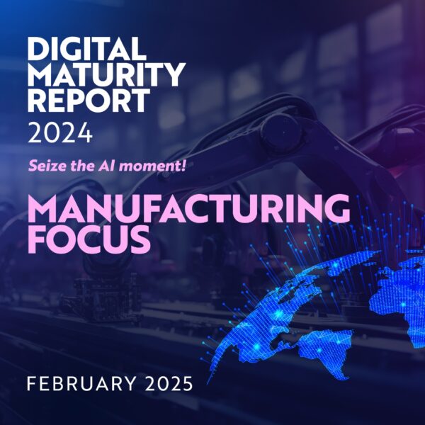 Digital Maturity 2024 Report - Digitopia