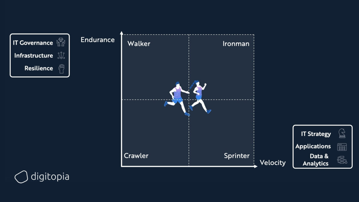 IT Maturity Model for Modern Enterprises